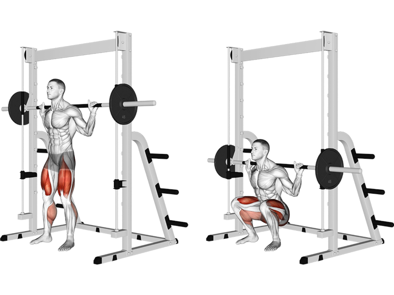 Smith Machine Squat How To Muscles Worked Form Guide Liftosaur Smith Machine Squat How To Muscles Worked Form Guide Liftosaur