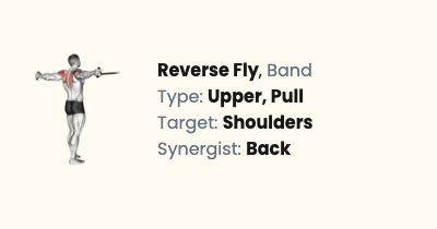 Band Reverse Fly | Liftosaur