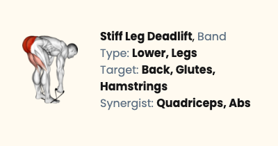 Band Stiff Leg Deadlift | Liftosaur