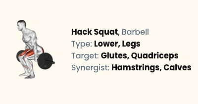 Barbell Hack Squat - How To, Muscles Worked & Form Guide | Liftosaur