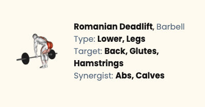 Barbell Romanian Deadlift - How To, Muscles Worked & Form Guide | Liftosaur