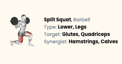 Barbell Split Squat | Liftosaur