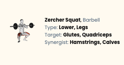 Barbell Zercher Squat - How To, Muscles Worked & Form Guide | Liftosaur