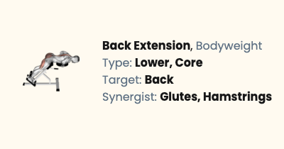 Bodyweight Back Extension | Liftosaur