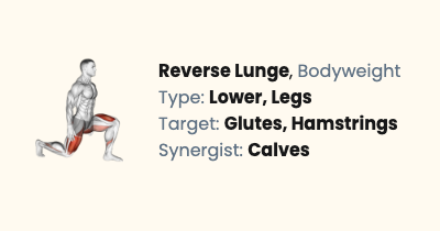Bodyweight Reverse Lunge | Liftosaur