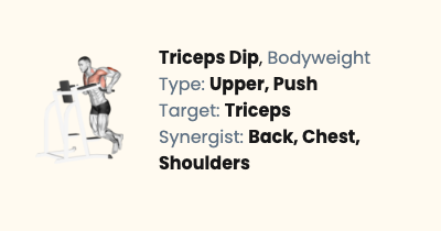 Bodyweight Triceps Dip - How To, Muscles Worked & Form Guide | Liftosaur