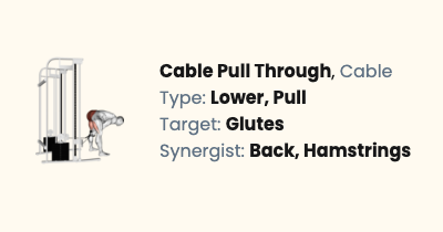 Cable Cable Pull Through - How To, Muscles Worked & Form Guide | Liftosaur