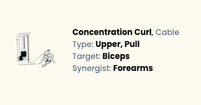 Cable Concentration Curl - How To, Muscles Worked & Form Guide | Liftosaur