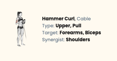 Cable Hammer Curl - How To, Muscles Worked & Form Guide | Liftosaur