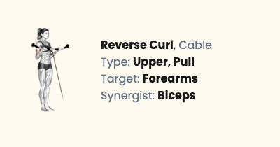 Cable Reverse Curl | Liftosaur