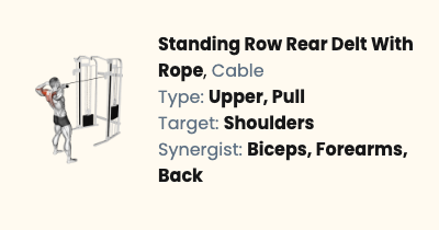 Cable Standing Row Rear Delt With Rope | Liftosaur