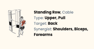 Cable Standing Row | Liftosaur
