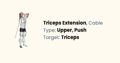 Cable Triceps Extension - How To, Muscles Worked & Form Guide | Liftosaur