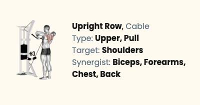 Cable Upright Row - How To, Muscles Worked & Form Guide | Liftosaur
