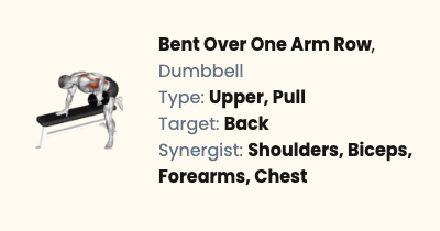 Dumbbell Bent Over One Arm Row | Liftosaur