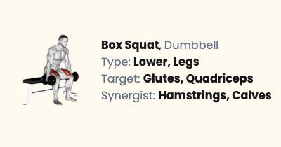 Dumbbell Box Squat - How To, Muscles Worked & Form Guide | Liftosaur