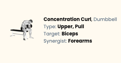 Dumbbell Concentration Curl | Liftosaur