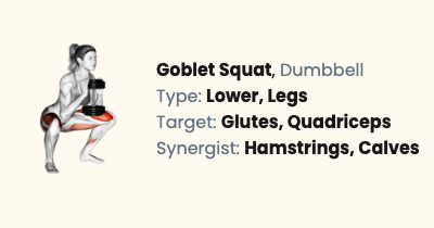 Dumbbell Goblet Squat - How To, Muscles Worked & Form Guide | Liftosaur
