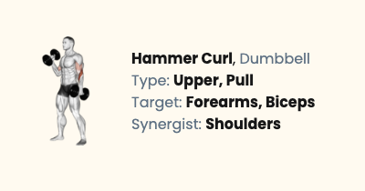 Dumbbell Hammer Curl - How To, Muscles Worked & Form Guide | Liftosaur
