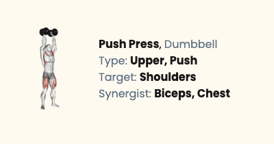 Dumbbell Push Press | Liftosaur