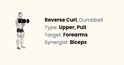 Dumbbell Reverse Curl | Liftosaur