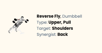 Dumbbell Reverse Fly - How To, Muscles Worked & Form Guide | Liftosaur
