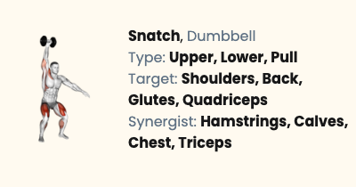 Dumbbell Snatch | Liftosaur
