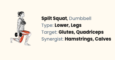 Dumbbell Split Squat | Liftosaur