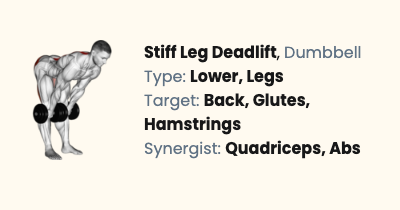Dumbbell Stiff Leg Deadlift | Liftosaur