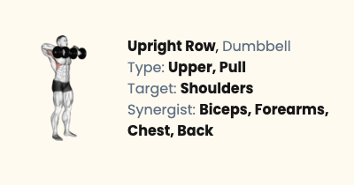 Dumbbell Upright Row | Liftosaur