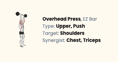 EZ Bar Overhead Press | Liftosaur